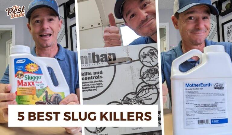 Top 5 Best Slug Killers of 2025 [Tested & Reviewed] | Pest Dude