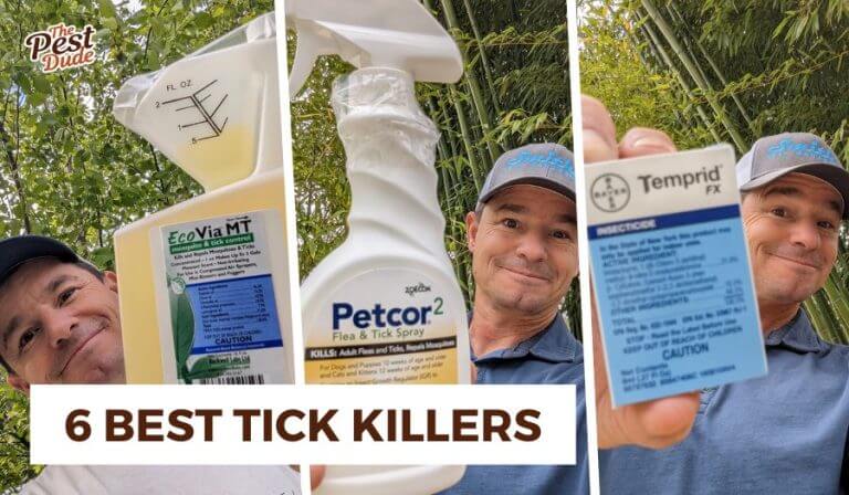 Top 6 Best Tick Killers of 2025, Tested and Reviewed - Pest dude