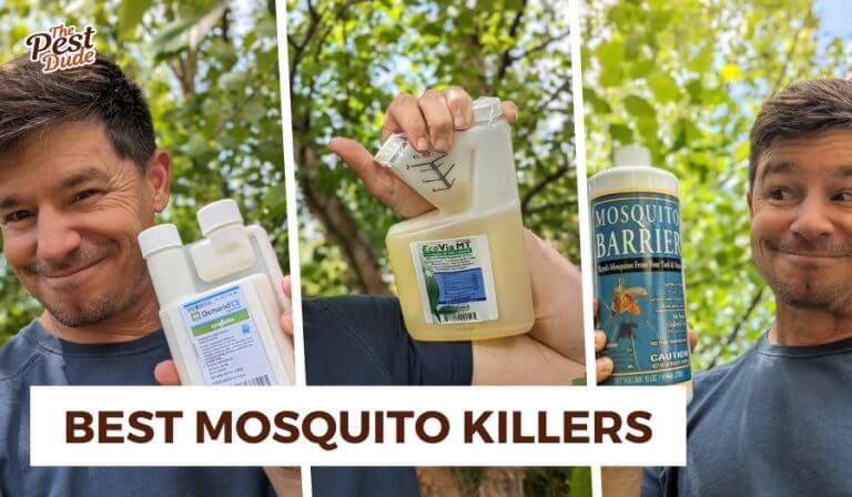 Top 8 Best Mosquito Control Products of 2025, Tested and Reviewed