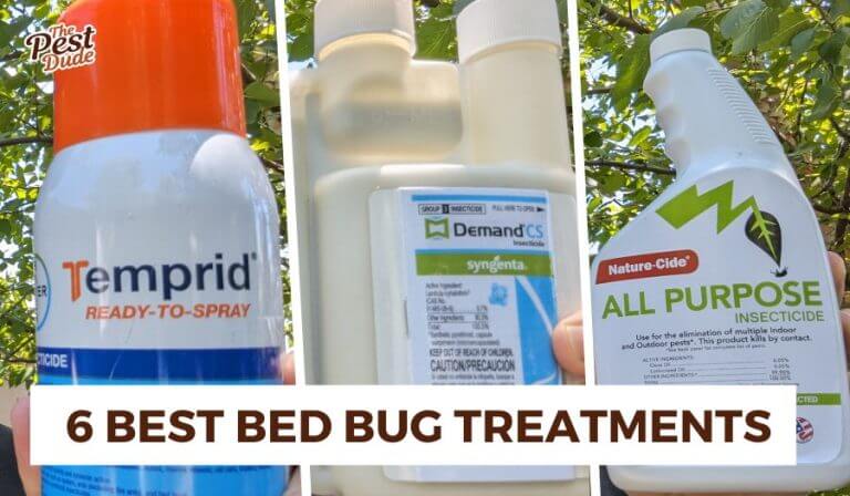 Top 6 Best Bed Bug Control Products of 2025, Tested & Reviewed | Pest Dude