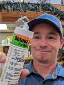 How to Get Rid of Rats in Your Car Engine like a Pro | Pest Dude