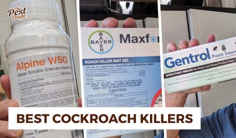 Top 5 Roach Killers of 2025, Tested and Reviewed | Pest Dude
