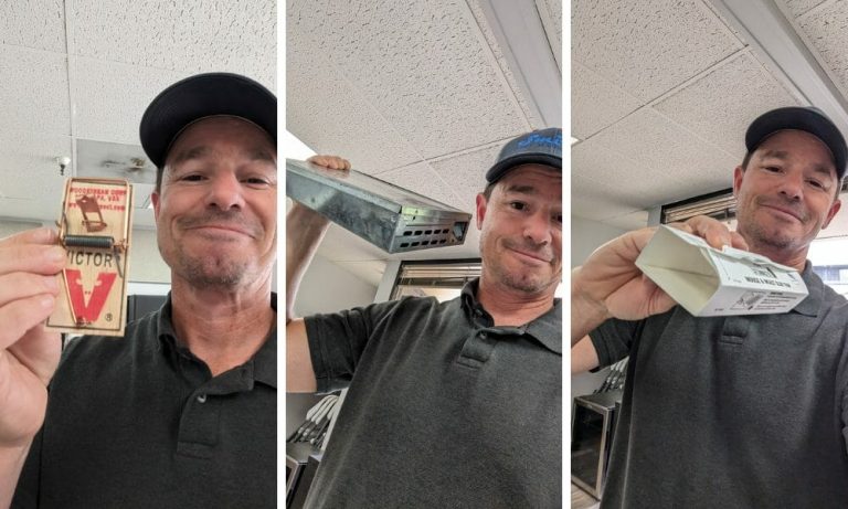 The 6 Best Mouse Traps of 2023 [Tested and Reviewed] | Pest Dude