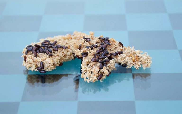 16 Common Spring Bugs & How to Get Rid of Them | The Pest Dude