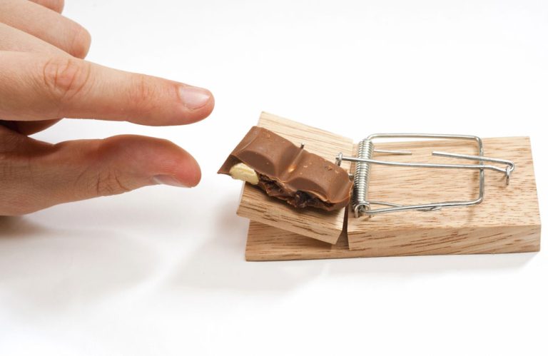 What is The Best Bait for Mouse Traps? | The Pest Dude