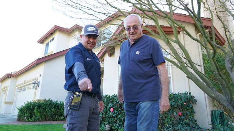 6 Steps To Trap a Rabbit Quickly & Humanely | The Pest Dude