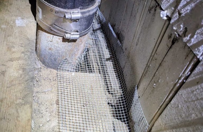 How to Get Rid of Rats in Garage | The Pest Dude